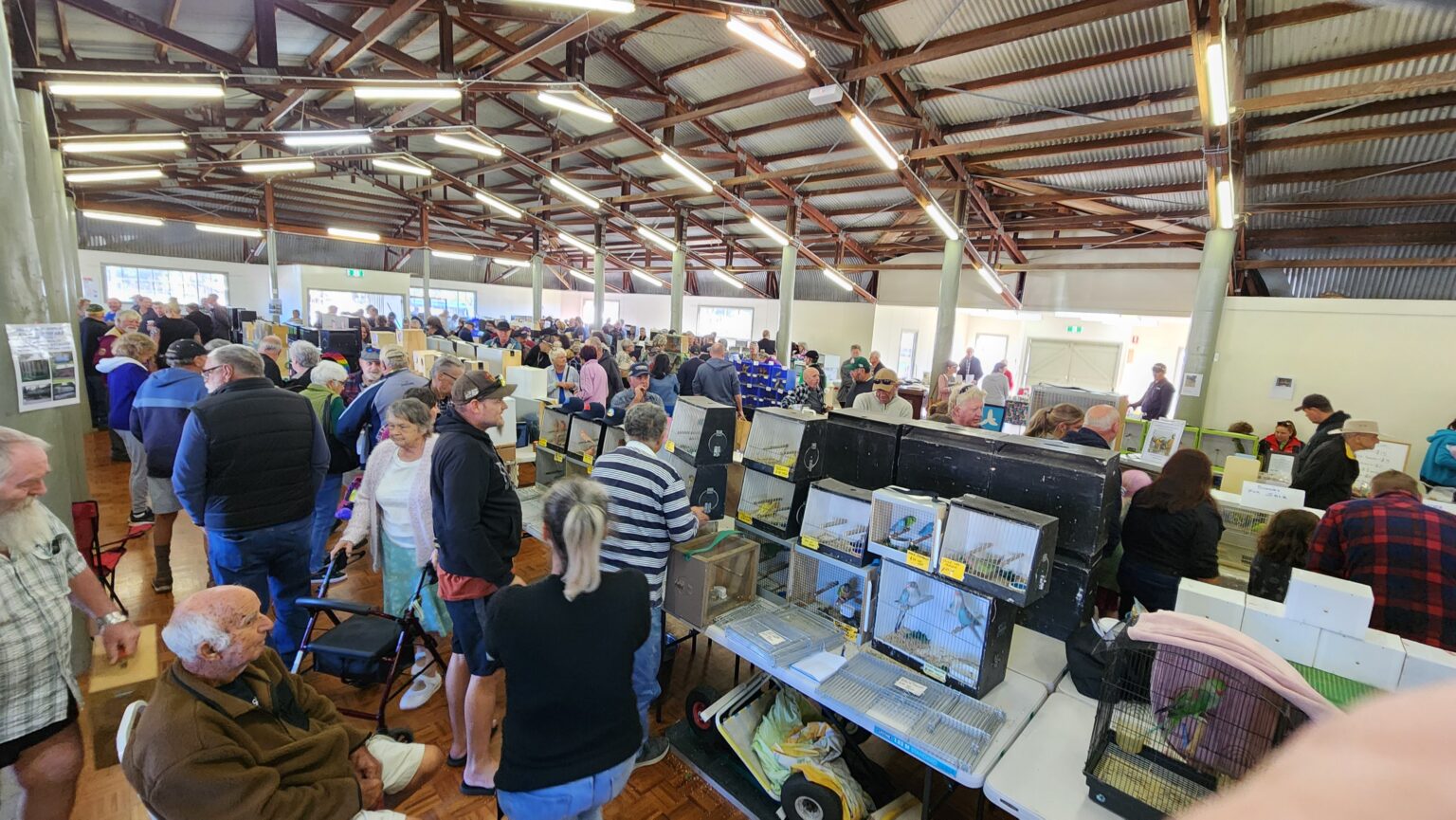 Club Events - Hervey Bay Bird Club Inc.